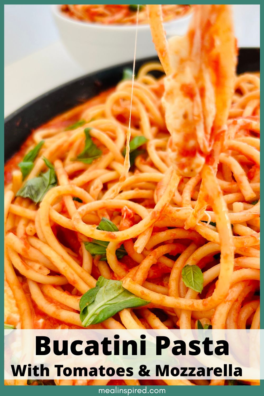 Bucatini Pasta With Tomatoes And Mozzarella - mealinspired